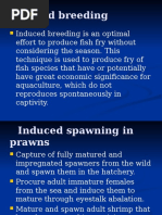 Breeding in Fishes | PDF | Luteinizing Hormone | Gonadotropin