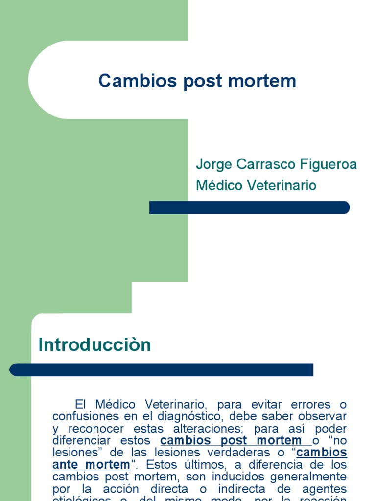 Cambios Post Mortem | PDF | Descomposición | Muerte