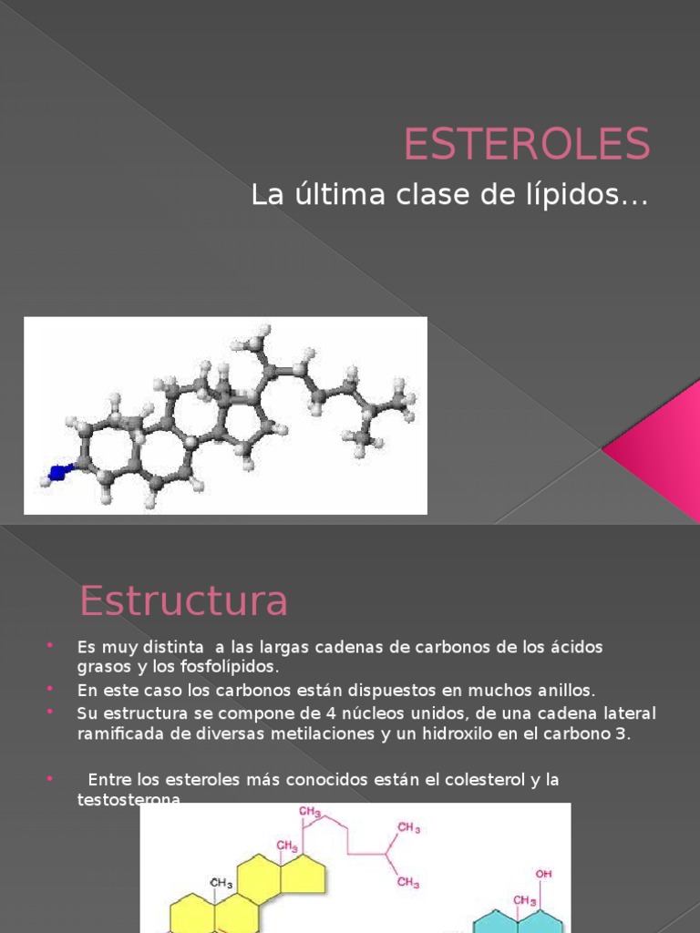 Esteroles 6.5 | PDF | Colesterol | Lípido