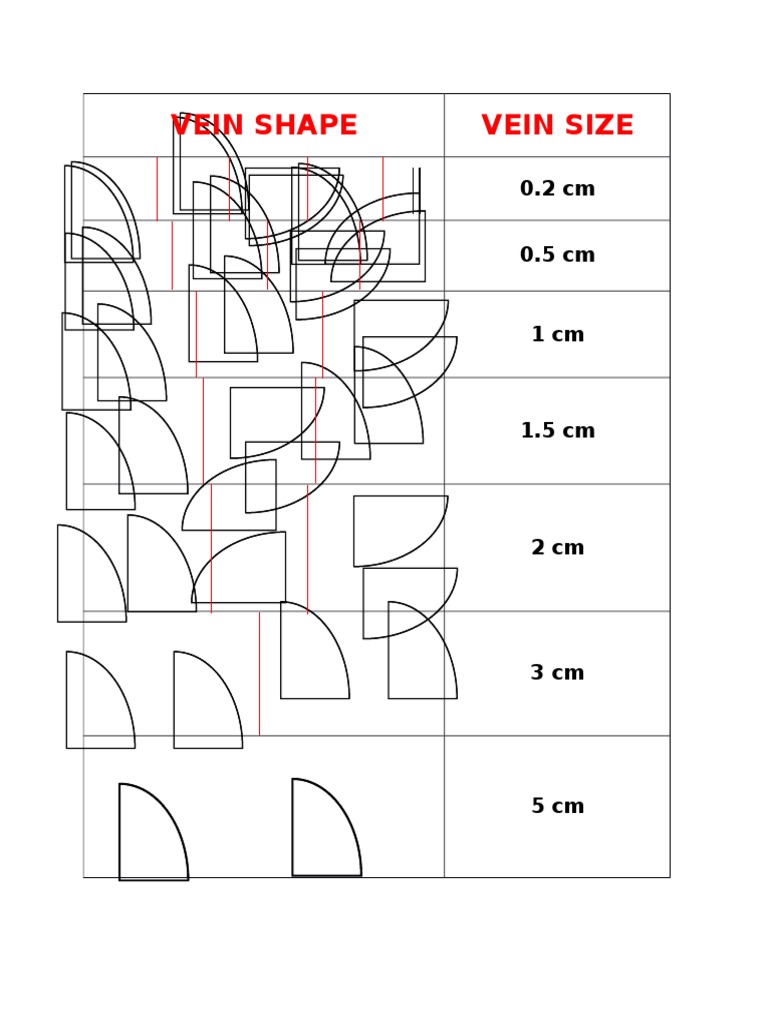 Vein Size and Shape Overview | PDF
