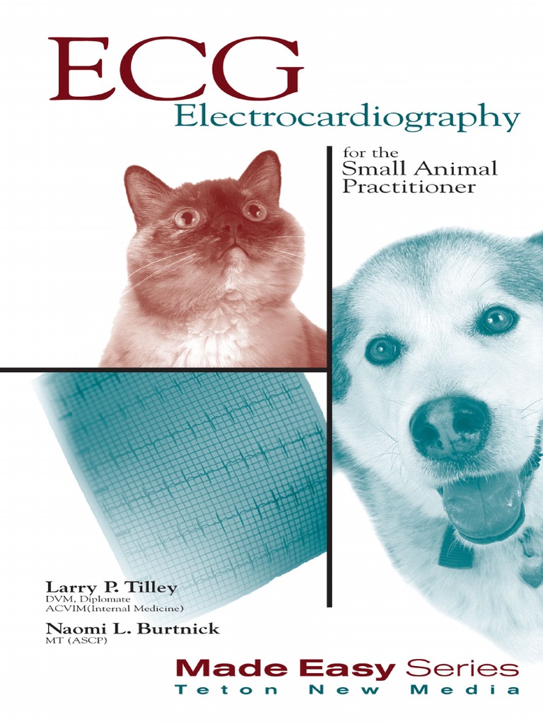 ECG for the Small Animal Practitioner | Cardiac Arrhythmia ...