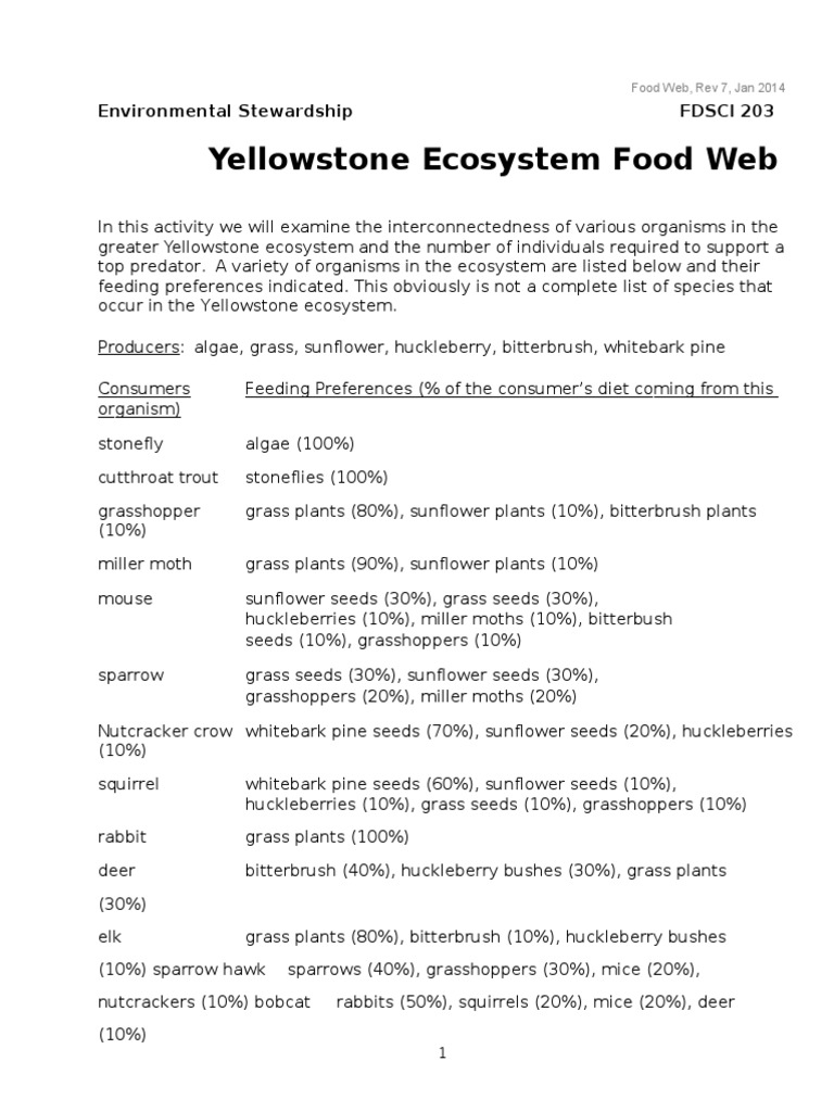 Yellowstone Food Web | PDF | Grizzly Bear | Food Web