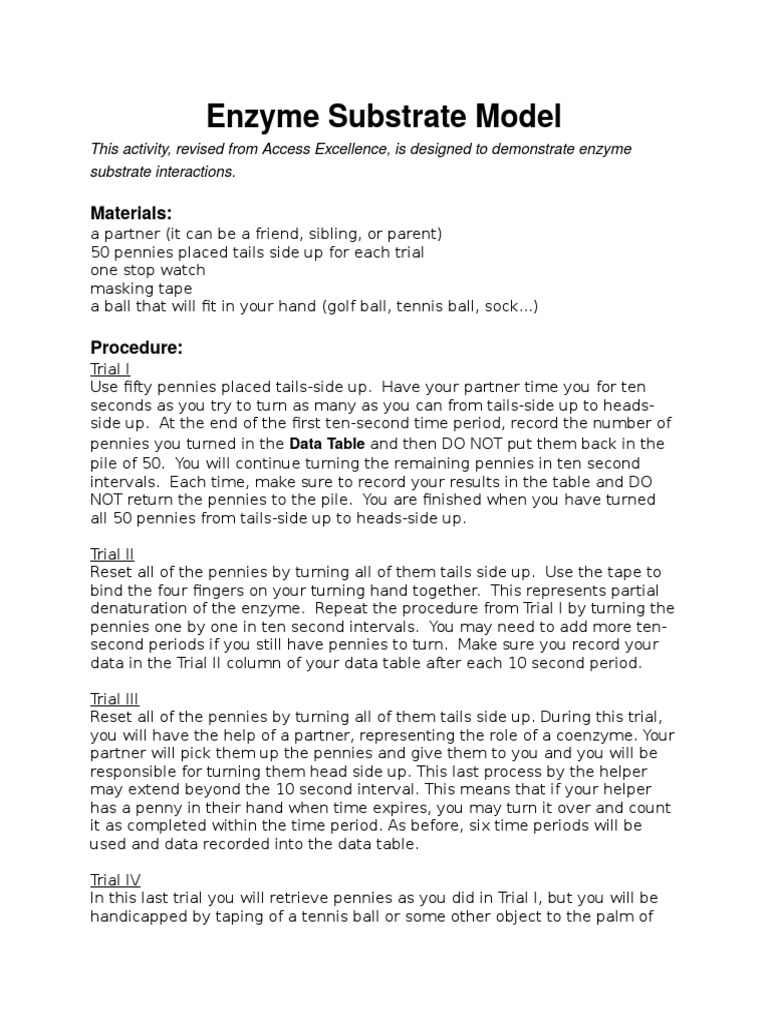 M 4 Activity Enzyme Substrate Model Student | PDF | Active Site | Enzyme