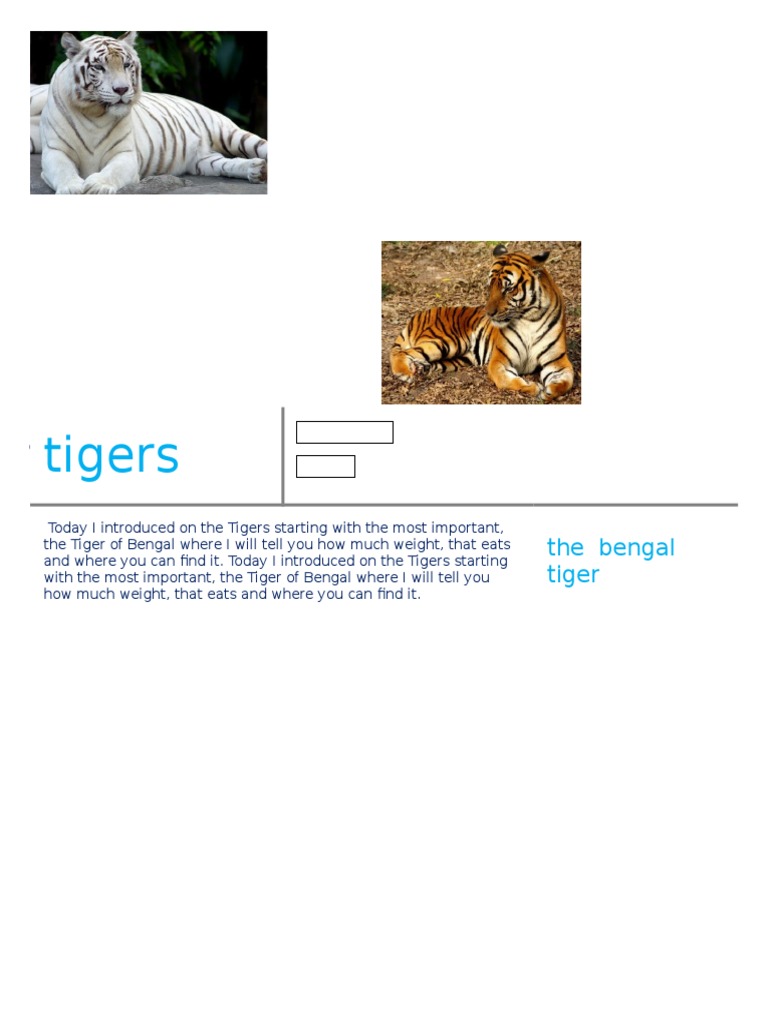 Bengal Tiger Facts & Conservation | PDF | Home & Garden