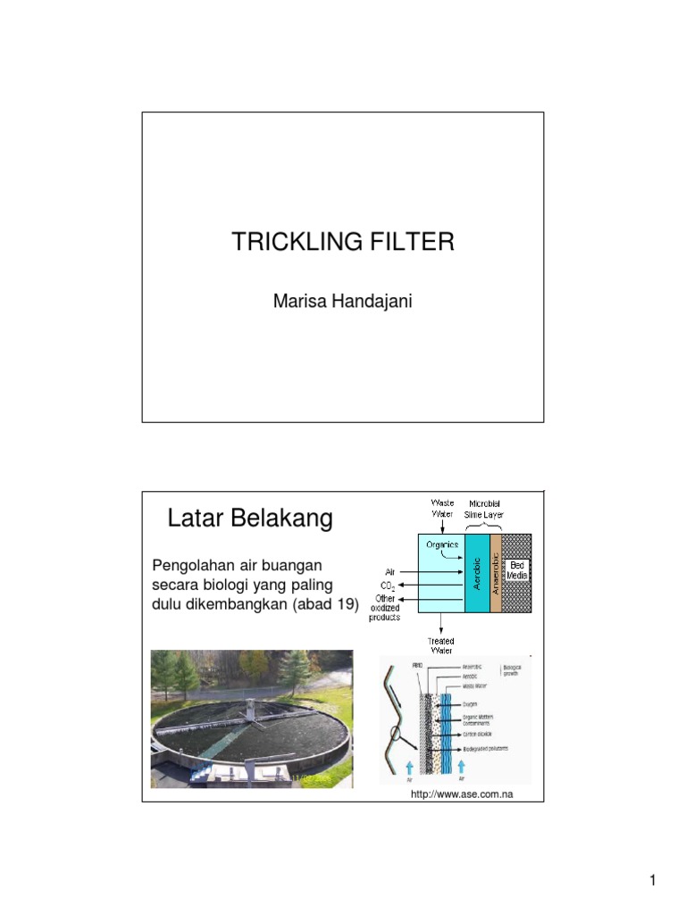 Trickling Filter PDF | PDF
