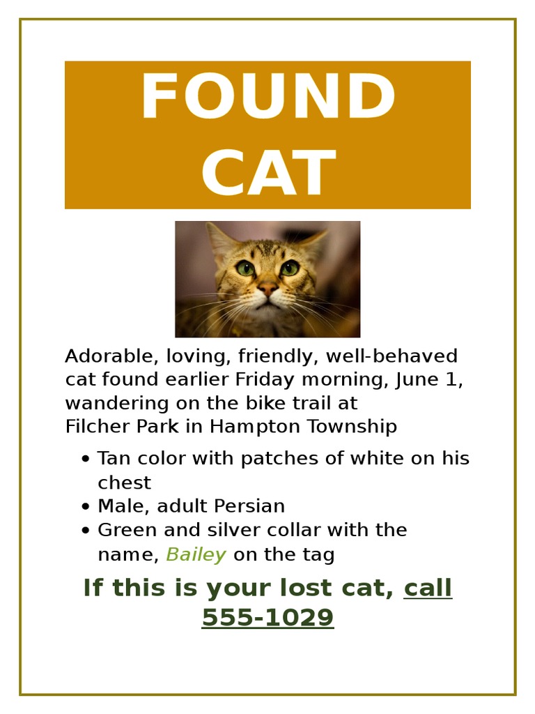 Lost Cat Found in Hampton Township | PDF