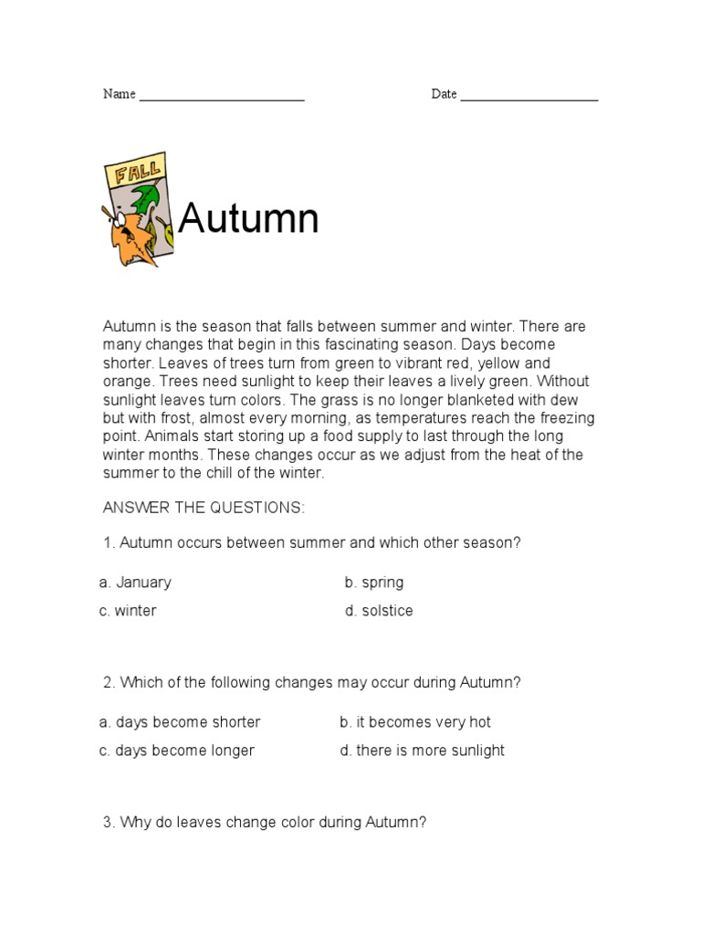 Autumn Reading Comprehension Worksheet | PDF | Dances | Wheat