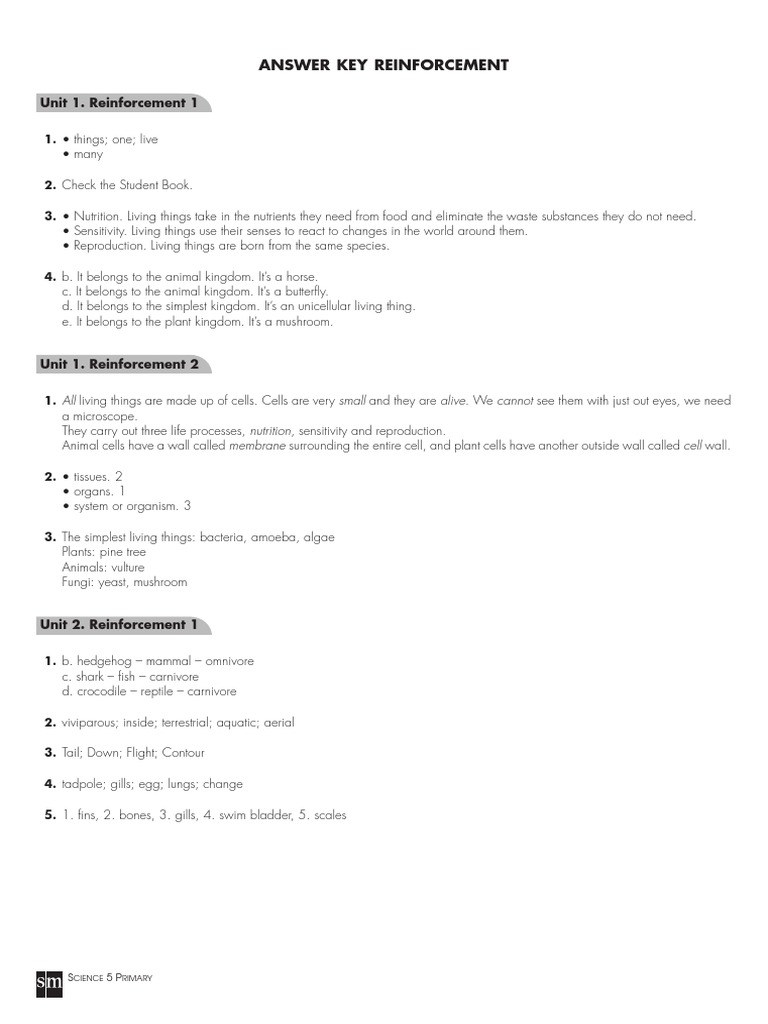 Answer Key Reinforcement | PDF | Volcano | Lava