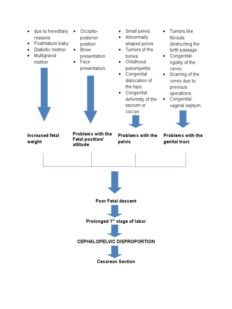 Diagram Pathophysiology | PDF