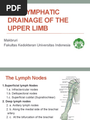 Supratrochlear Lymph Nodes