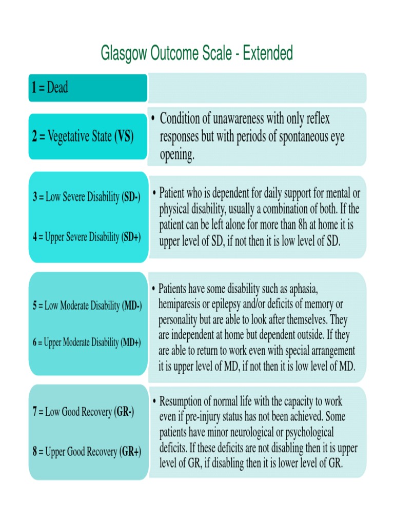 Glasgow Outcome Scale Extended | PDF