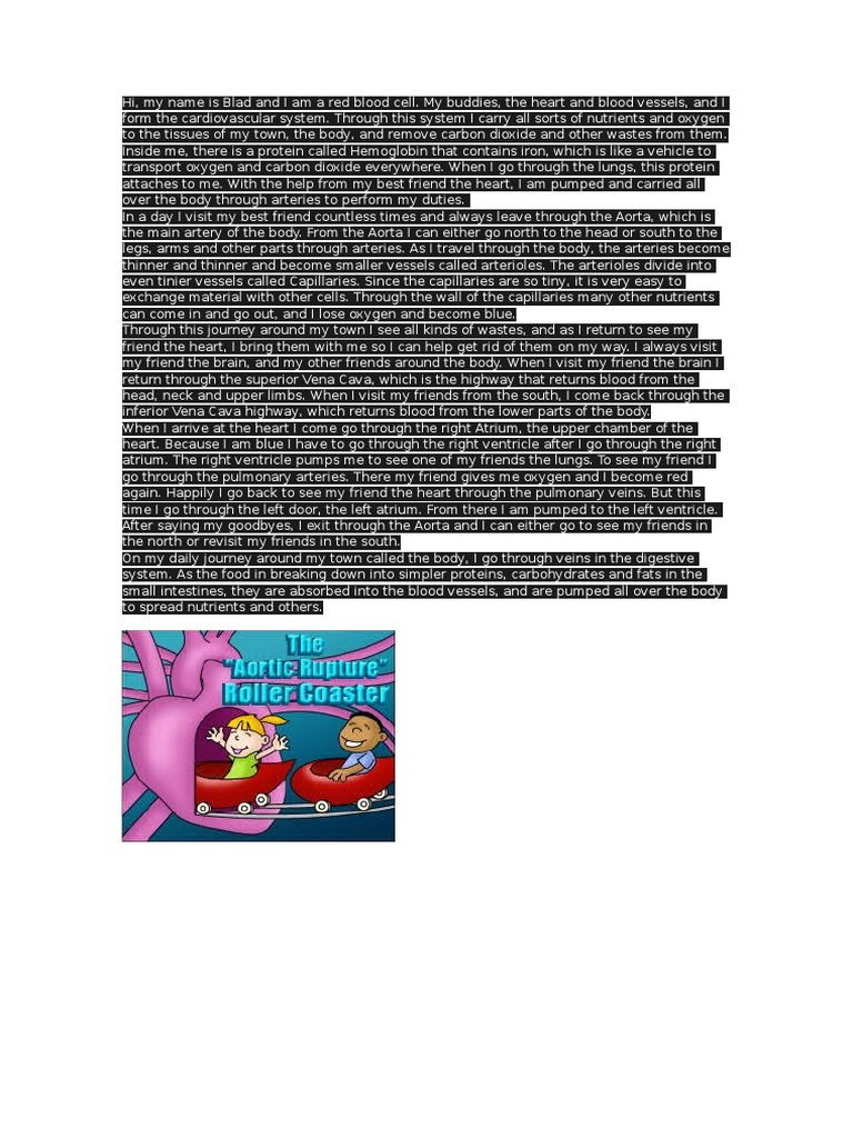 Story Circulatory System | PDF | Circulatory System | Artery