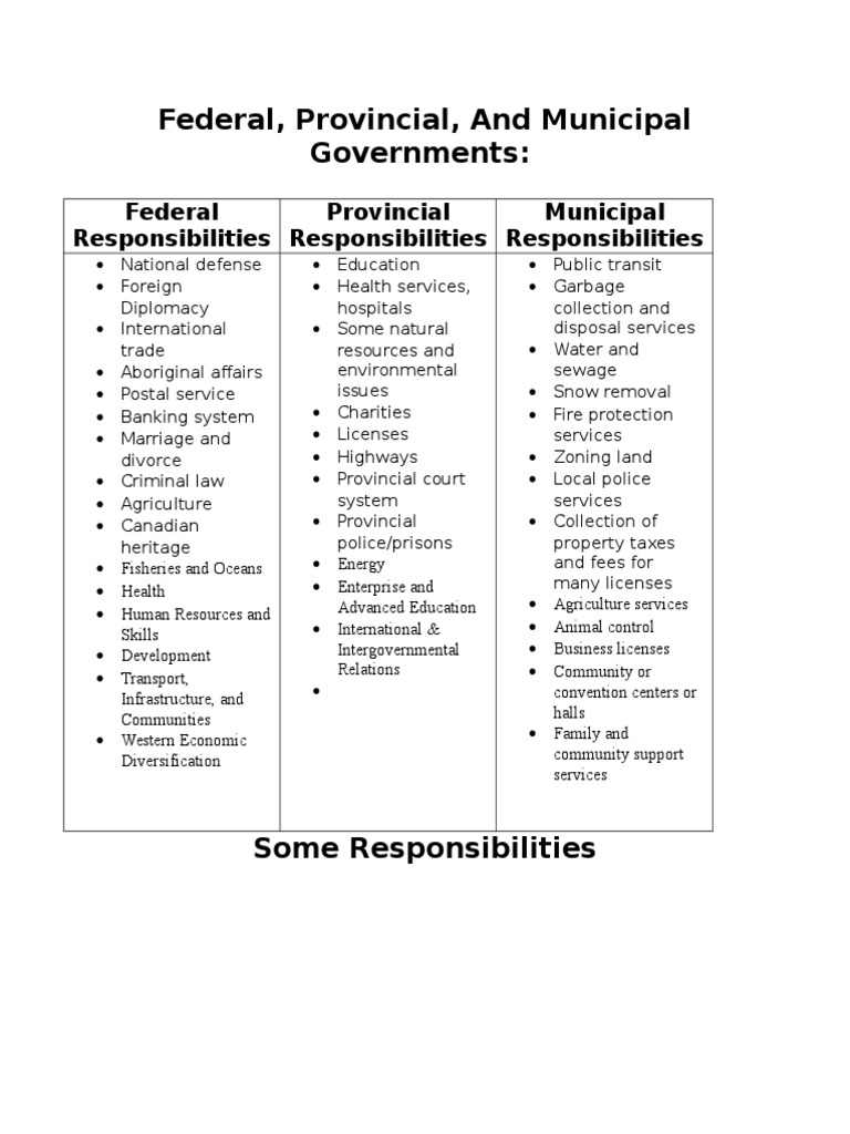 Government Responsibilities | PDF | Law