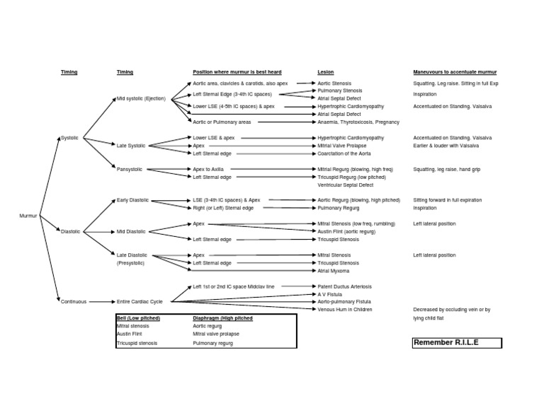 Cardiac Murmurs - 1p Cheat Sheet PDF | PDF