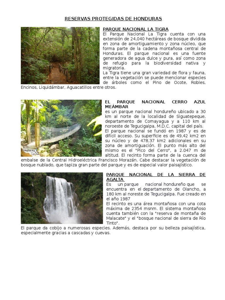 Protegidas reservas naturales de Honduras: una descripción de sus ...