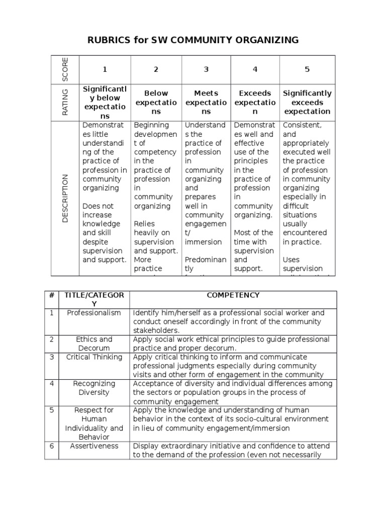 Rubrics For SW Community Organizing | PDF | Critical Thinking ...