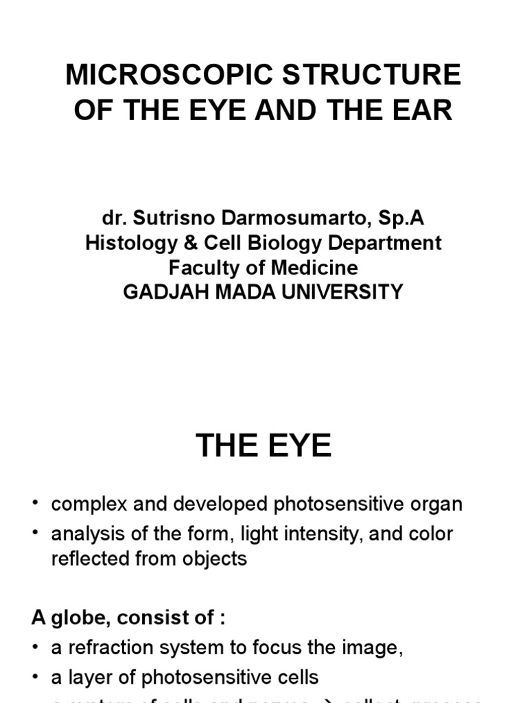 Microscopic Structure of Eye and Ear OK | PDF | Ear | Auditory System