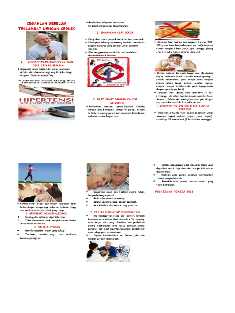 Leaflet Cerdik | PDF