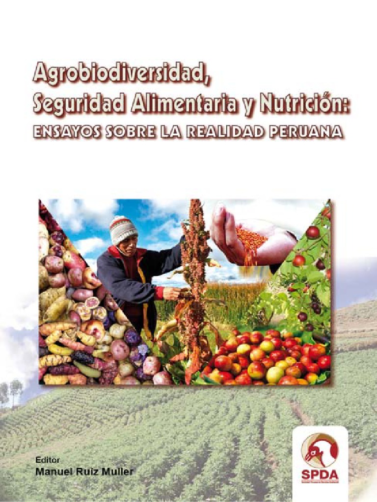 Agrobiodiversidad, Seguridad Alimentaria y Nutricion - ENSAYO PDF | PDF | Organización de Comida ...