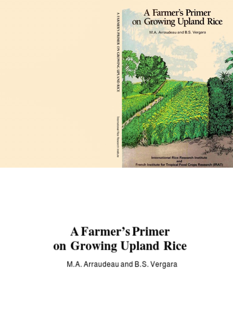 Farmers Primer in Growing Upland Rice | PDF | Seed | Fertilizer