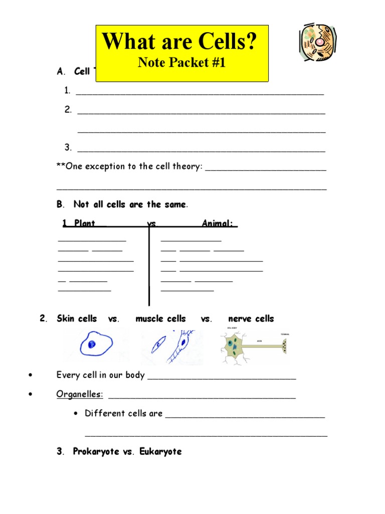 What Are Cells?: Note Packet #1 | PDF