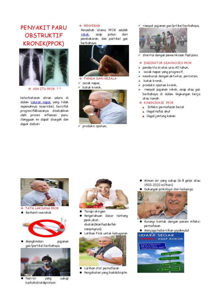 Leaflet Ppok | PDF