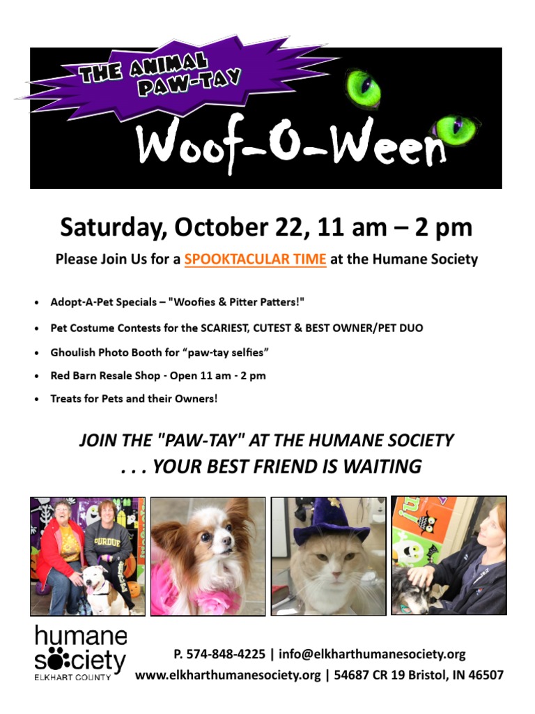 Woof-O-Ween Pet Adoption Event | PDF | Cooking, Food & Wine | Art