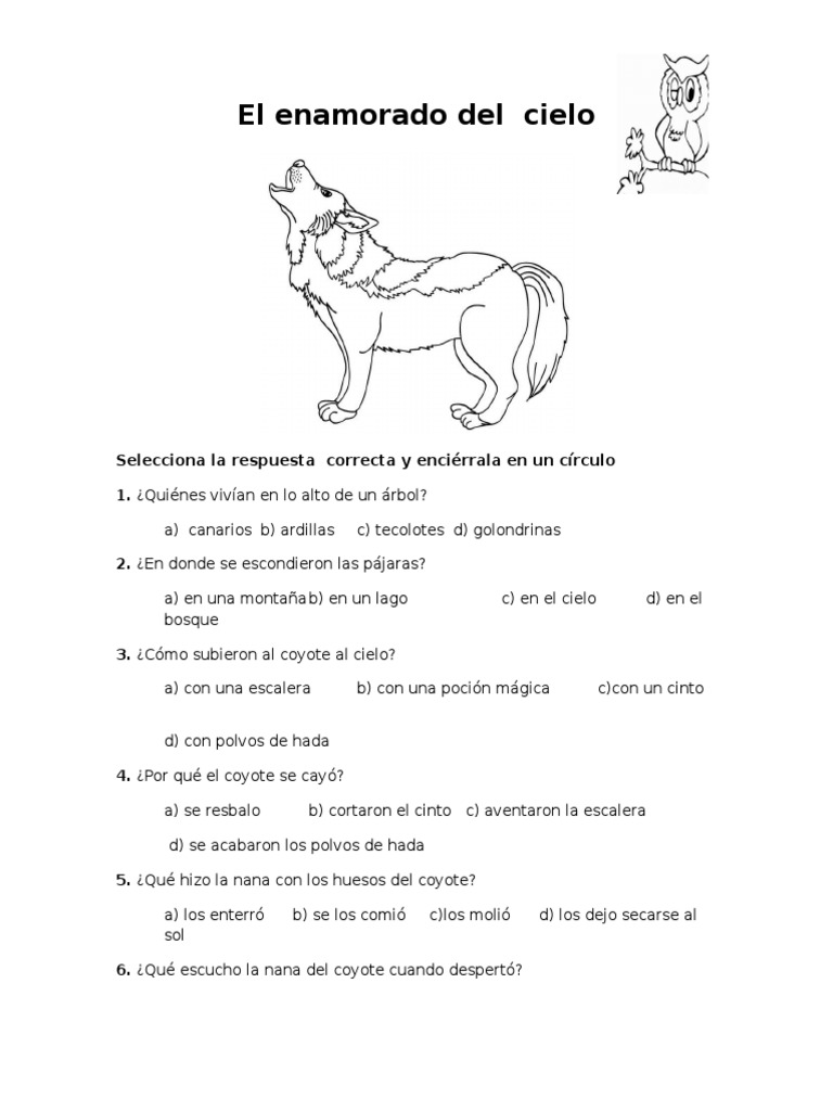 El Enamorado Del Cielo | PDF | Libros para adolescentes