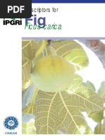 RHS Colour Charts Editions PDF | PDF | Color | Graphic Design