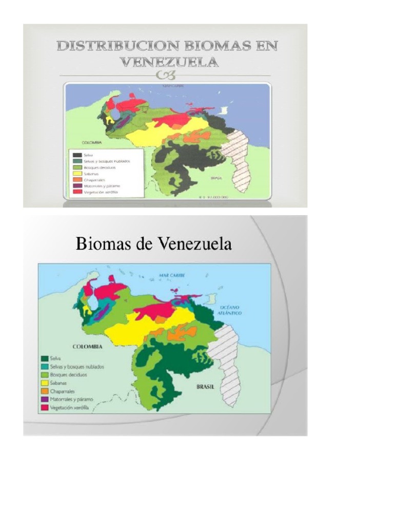 Mapa Territorial de Venezuela | PDF