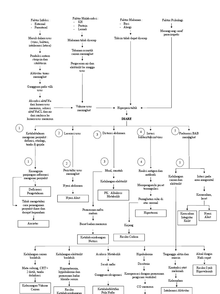 Woc Diare | PDF