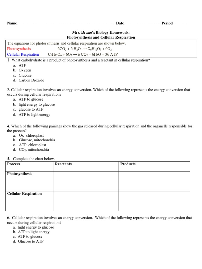 Photosynthesis and Cellular Respiration Homework - Bruno Biology | PDF ...