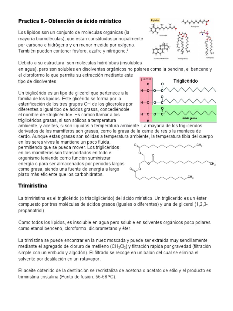 Obtención de Trimiristina y Ácido Mirístico | PDF | Lípido | Triglicéridos
