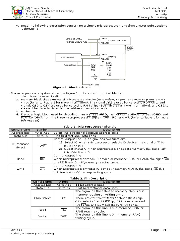 Activity Memory Addressing | PDF | Random Access Memory | Read Only Memory