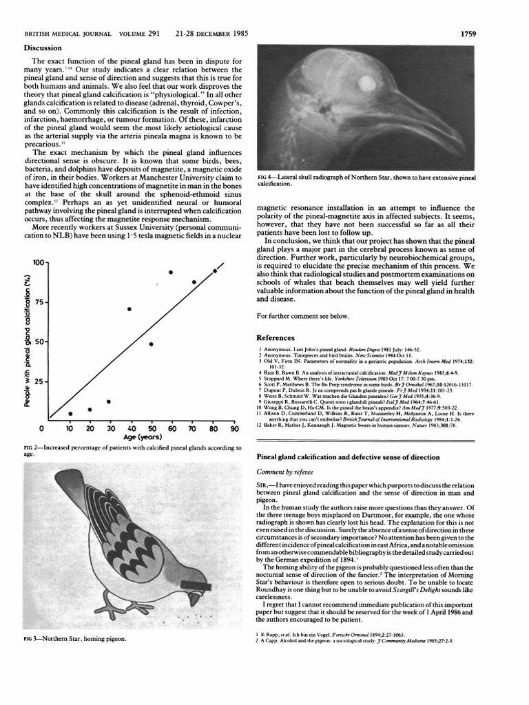 However,: Calcification Calcification Formation. of | PDF | Animal ...