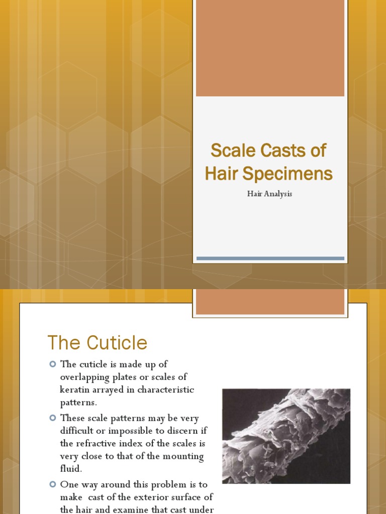 Hair Scale Patterns and Cast Analysis | PDF | Home & Garden