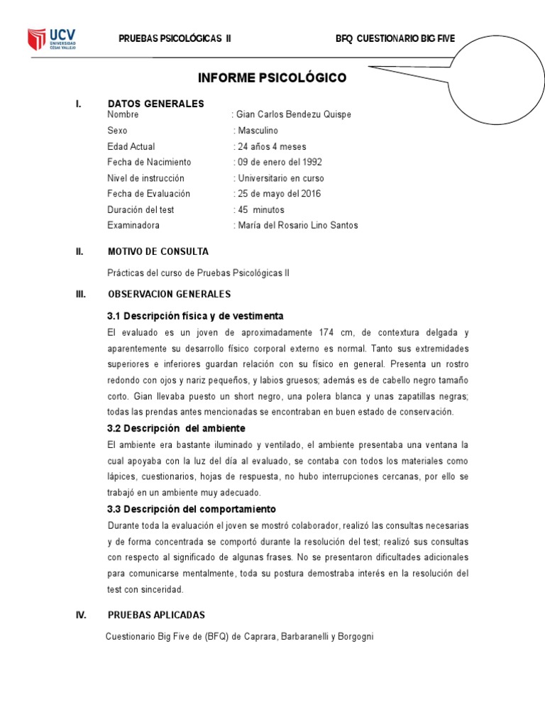 Informe Psicológico: Evaluación Big Five | PDF | Las emociones | Sicología