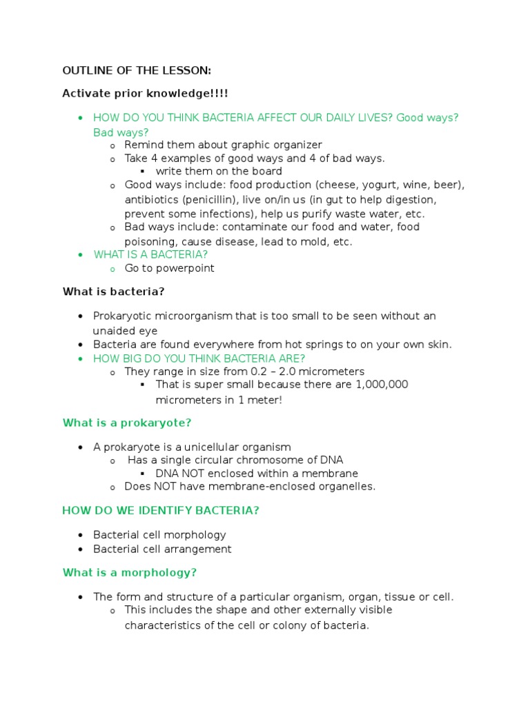Outline - Script Lesson Plan For Bacteria - Field I | PDF | Bacteria ...