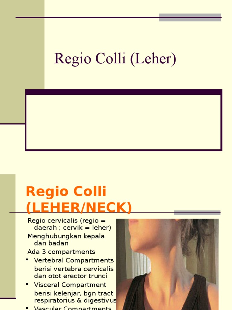 Anatomi dan Struktur Regio Colli | PDF | Ilmu Sosial | Sains & Matematika