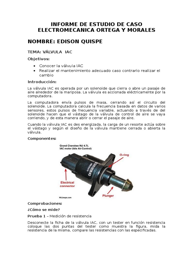 Válvula Iac | PDF