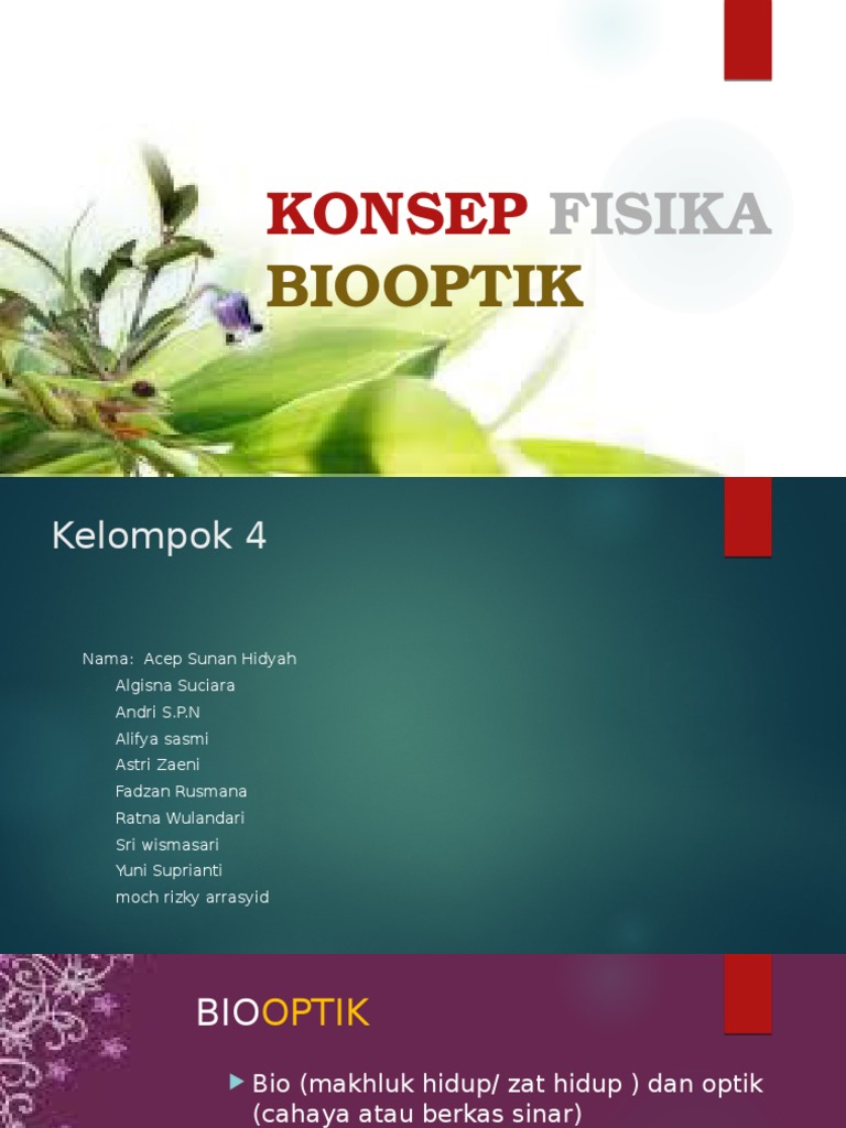 Konsep Fisika Biooptik | PDF