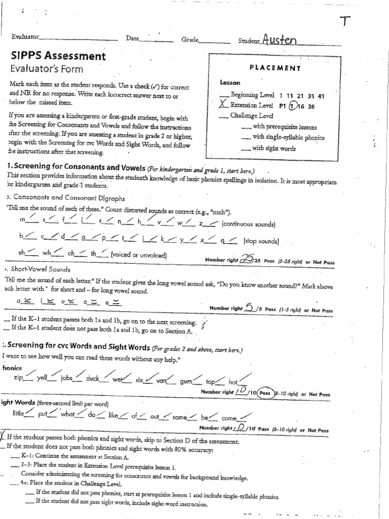 Sipps Assessment Austen | PDF