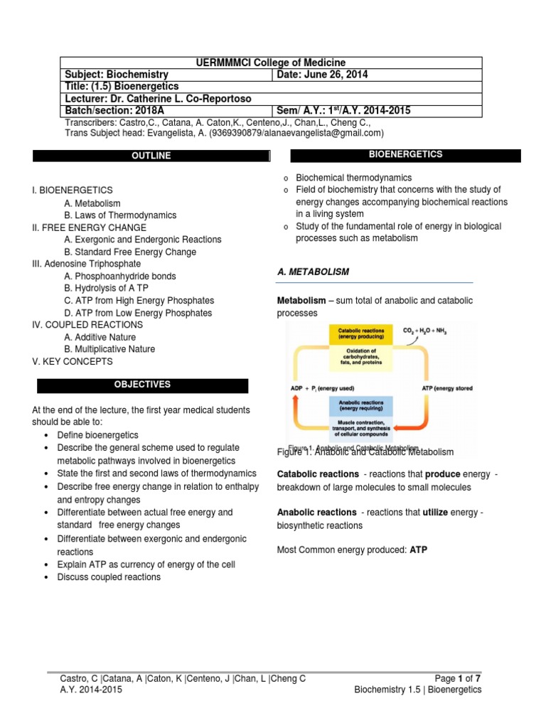 Bioenergetics Overview for Medical Students | PDF | Adenosine ...