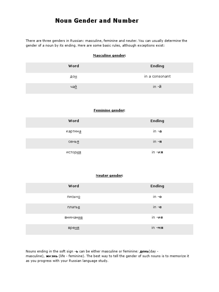 Russian Noun Gender and Plural Rules | PDF