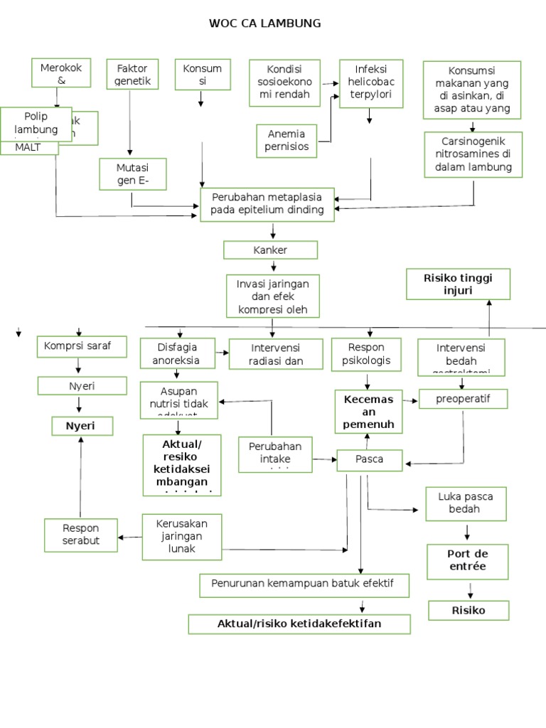 Woc CA Lambung | PDF