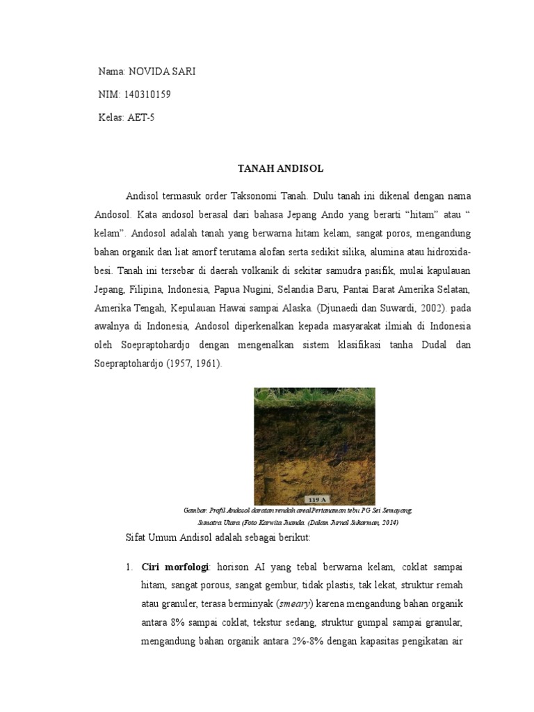 Tugas Morfologi Klasifikasi Tanah Andosol | PDF