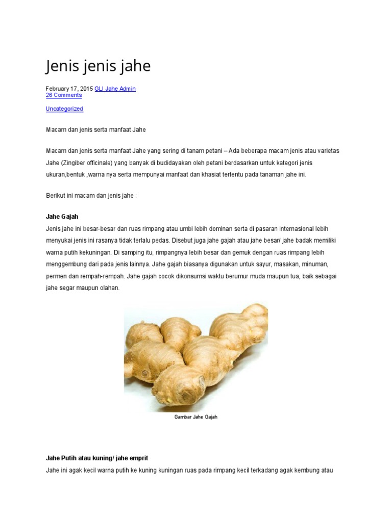 Jenis Jenis Jahe | PDF