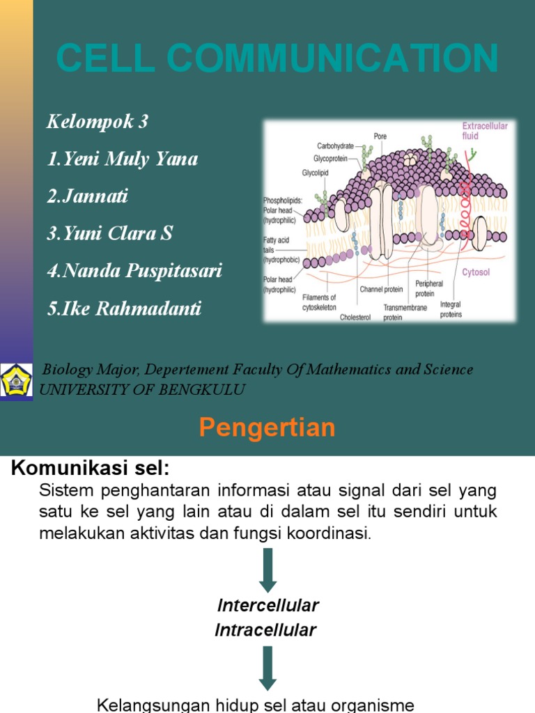 Komunikasi Sel | PDF