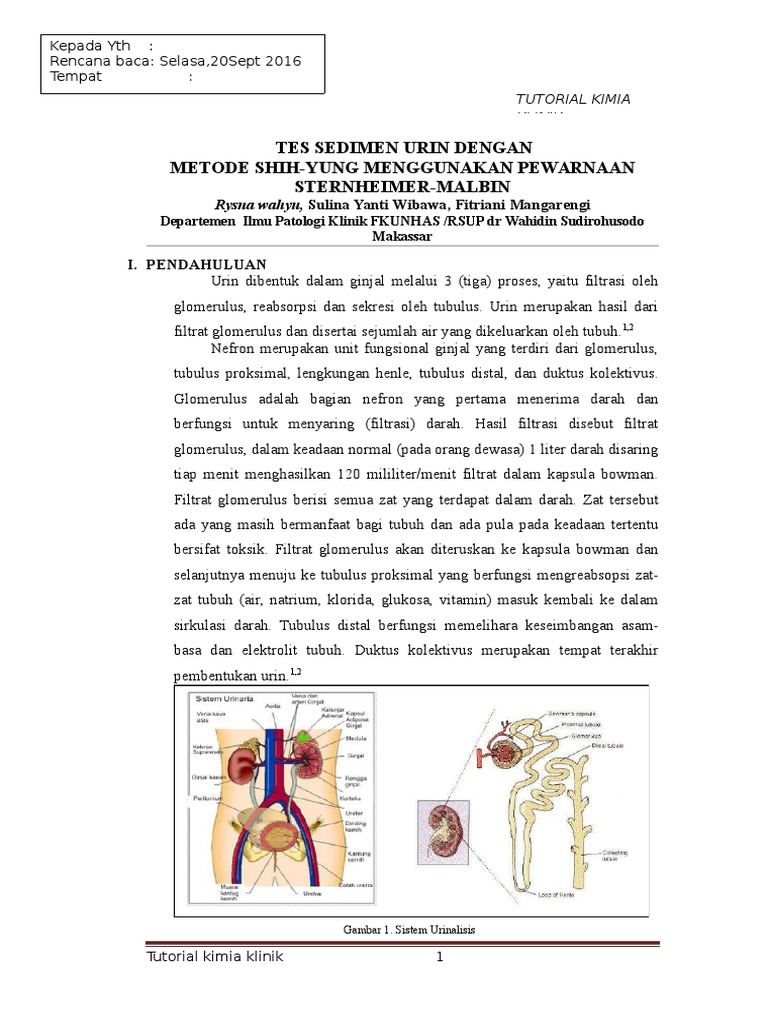 Tes Sedimen Urin Dengan Metode Shih-Yung Menggunakan Pewarnaan ...
