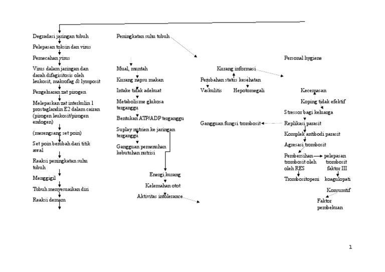 Pathway Malaria | PDF
